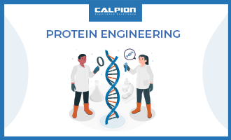 AI & Deep Learning Case Study - Protein Engineering | Calpion