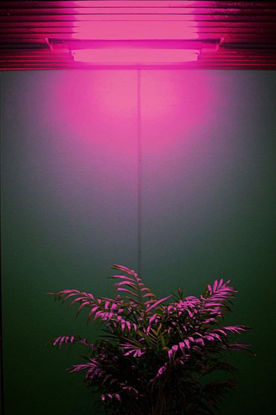 Home - Bistrobar Bankoh