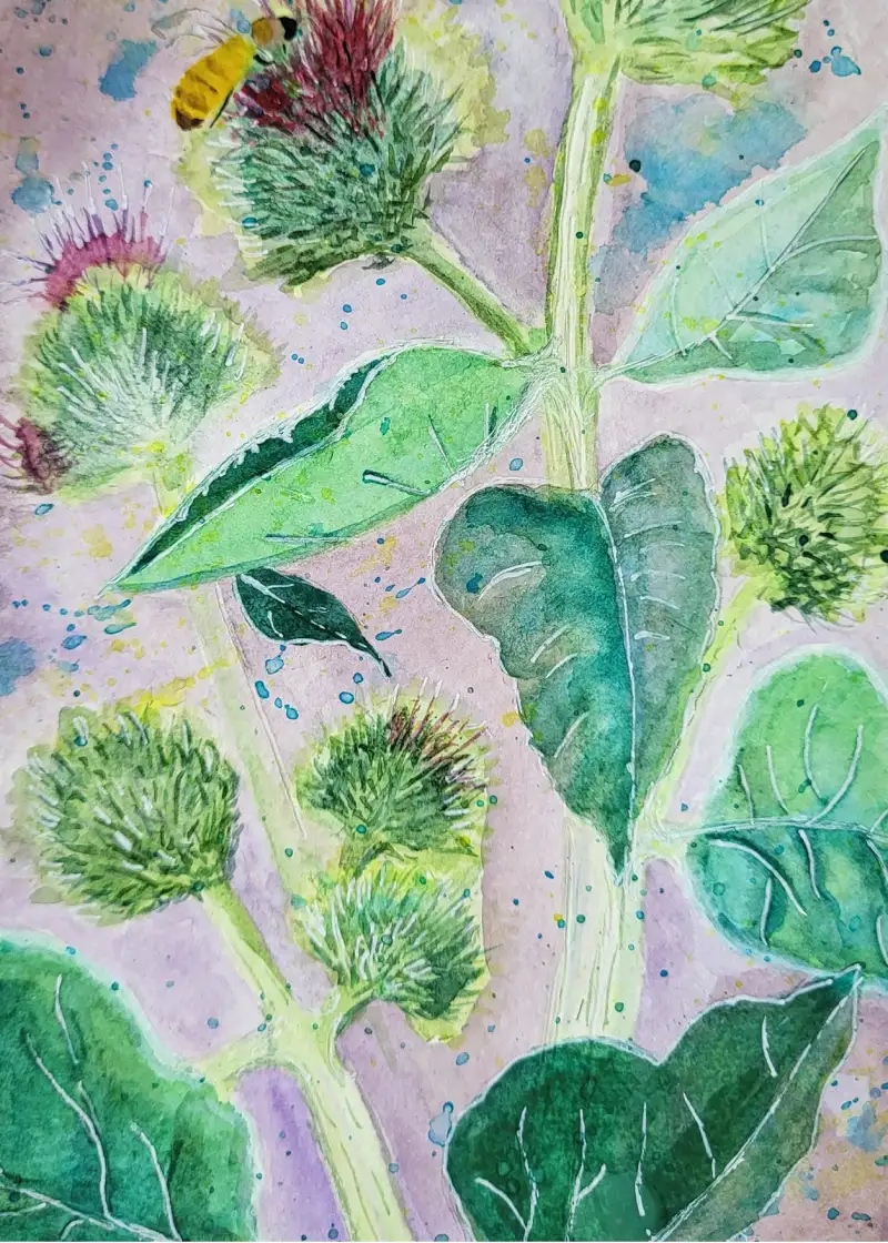 Bream | Redefine health, creatively.