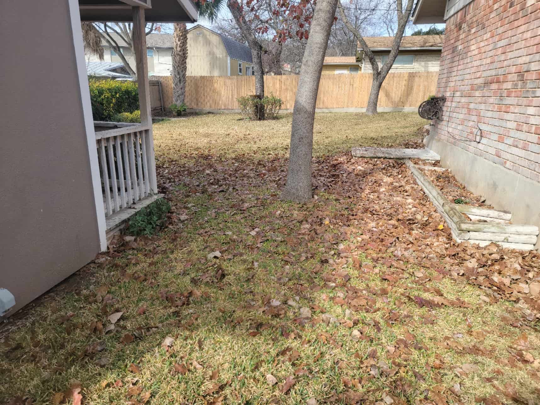 The Best Yard Cleaning Service in San Antonio, Texas | Premium Turf ...