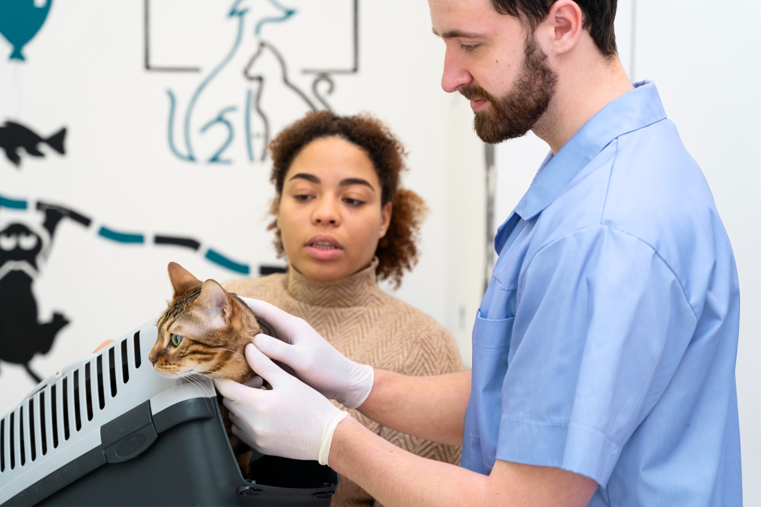 Proactive Pet Wellness: Preventive Care Services | Sandy Paws ...