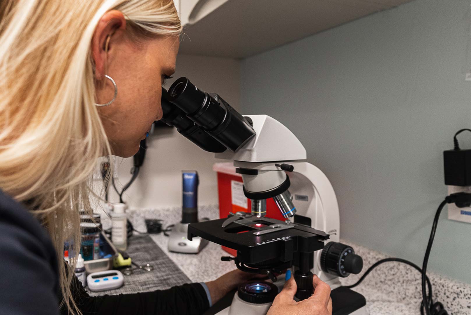 Heartworm Testing Services | Sandy Paws Veterinary Hospital in Estero, FL