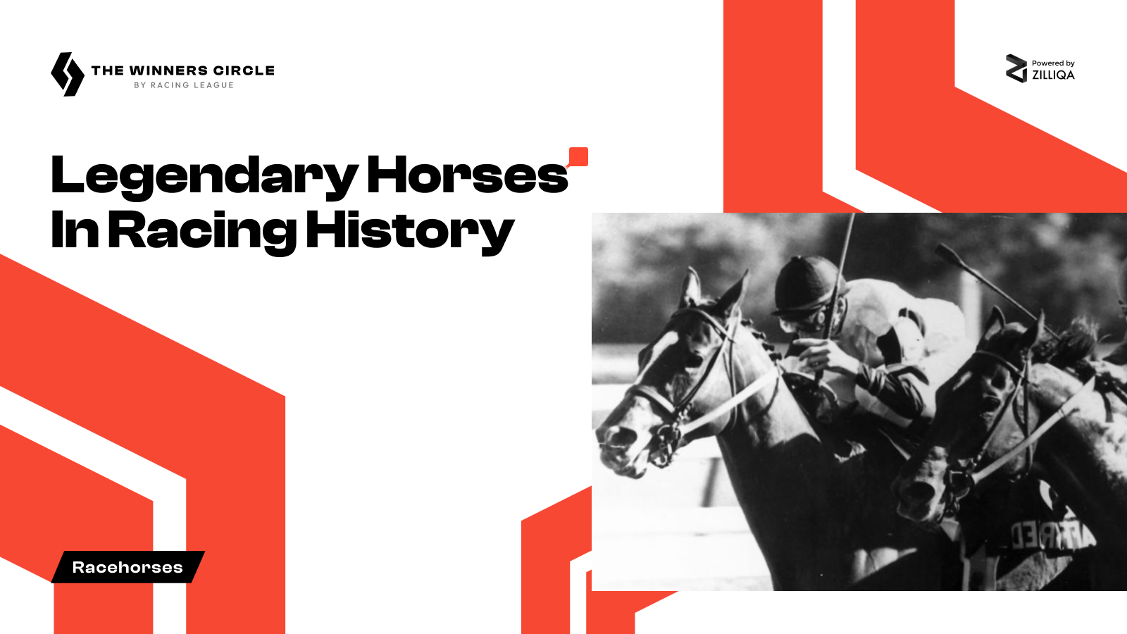 Legendary Horses in Racing History - The Winners Circle