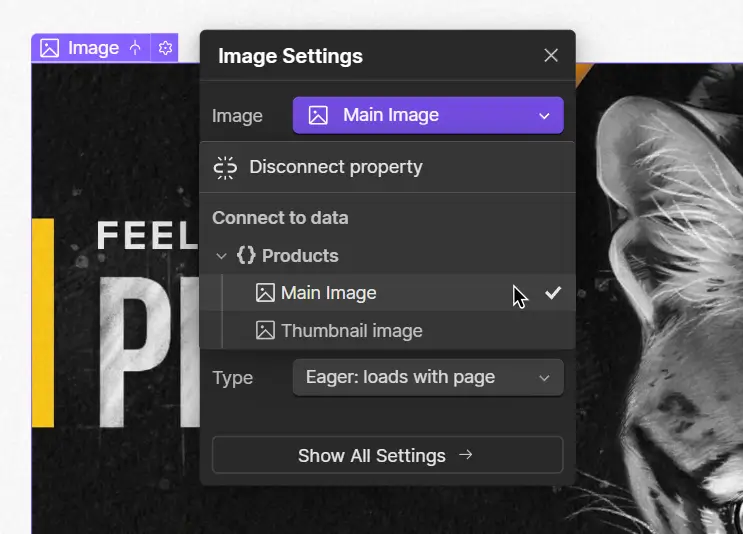 CMS Image Dynamic Alt Tags - Finsweet Webflow SEO Guide