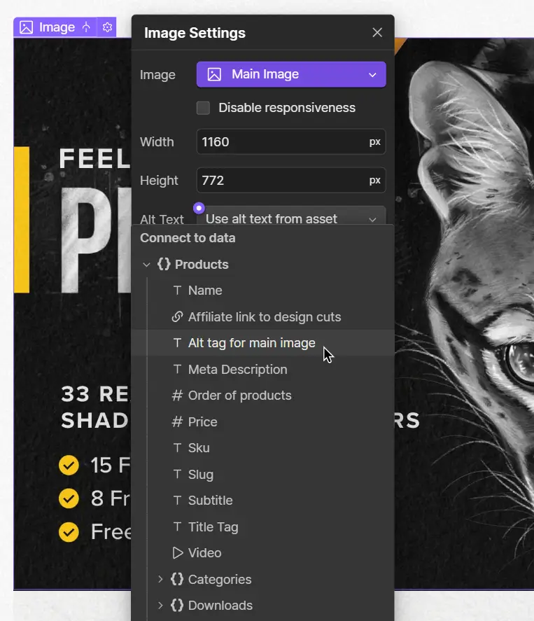 CMS Image Dynamic Alt Tags - Finsweet Webflow SEO Guide