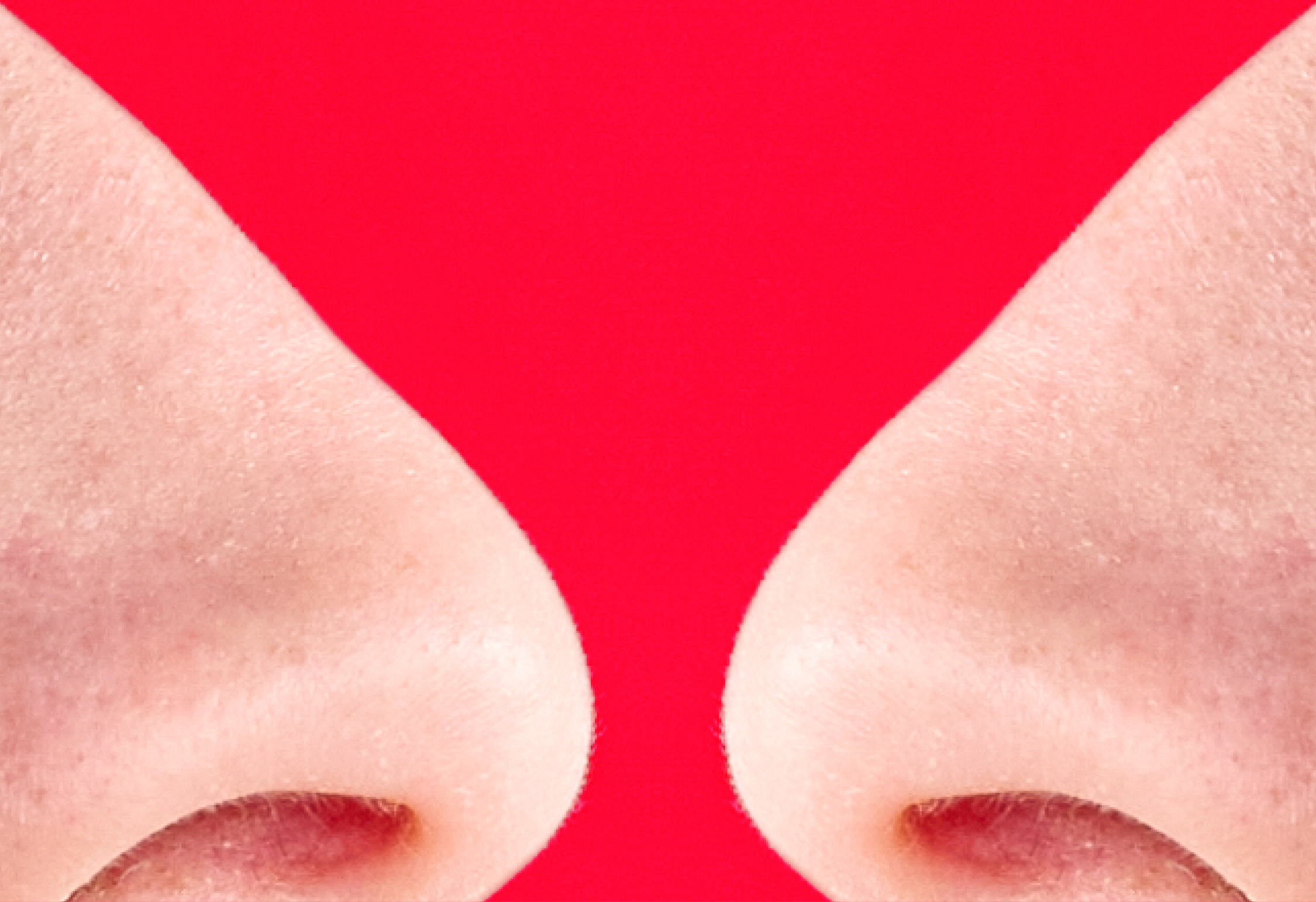 Duo Tour | WOW City Rally