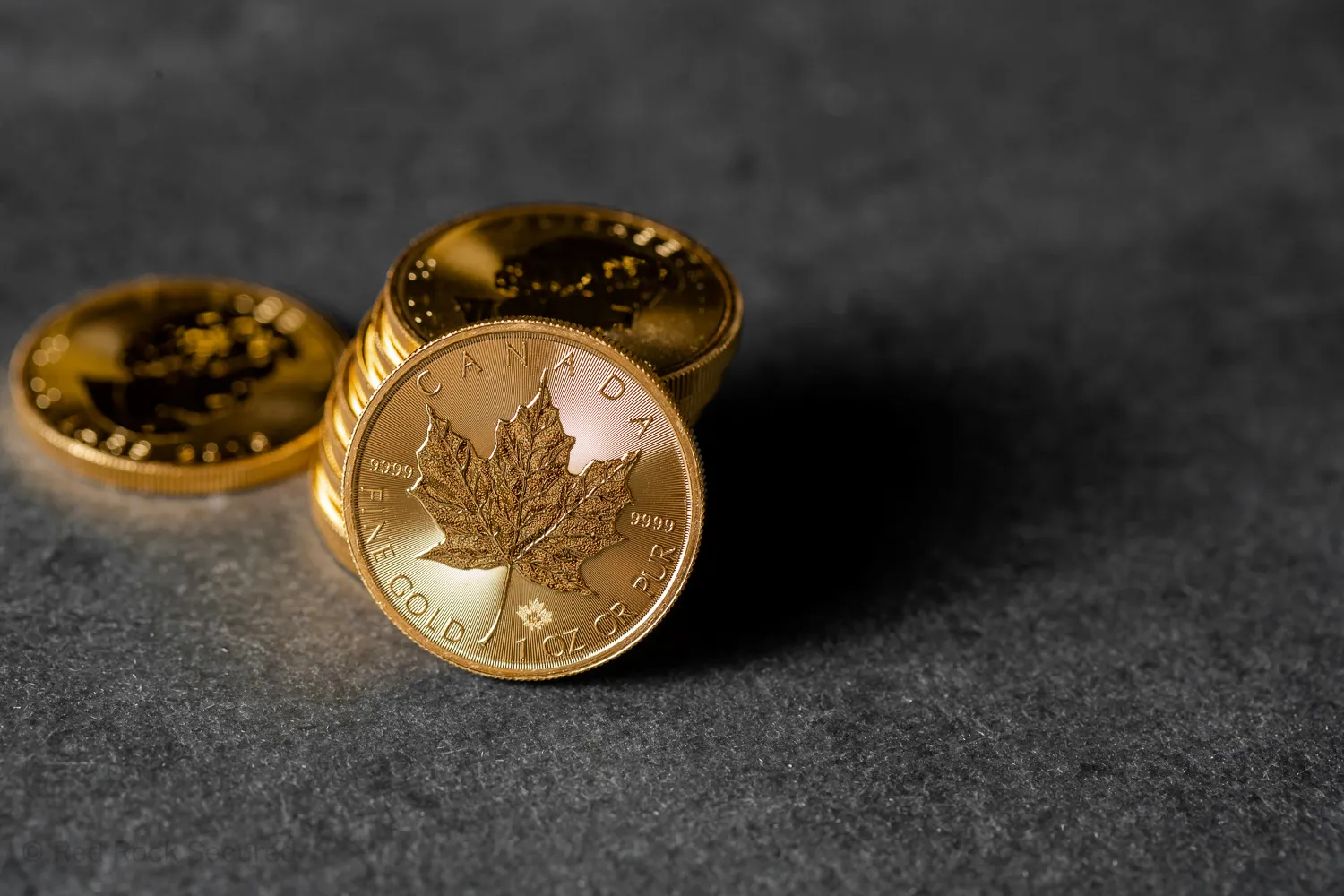 True Gold Republic - The New Gold Standard