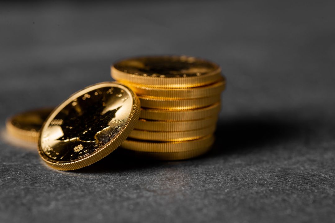 Education | True Gold is Committed to the Truth