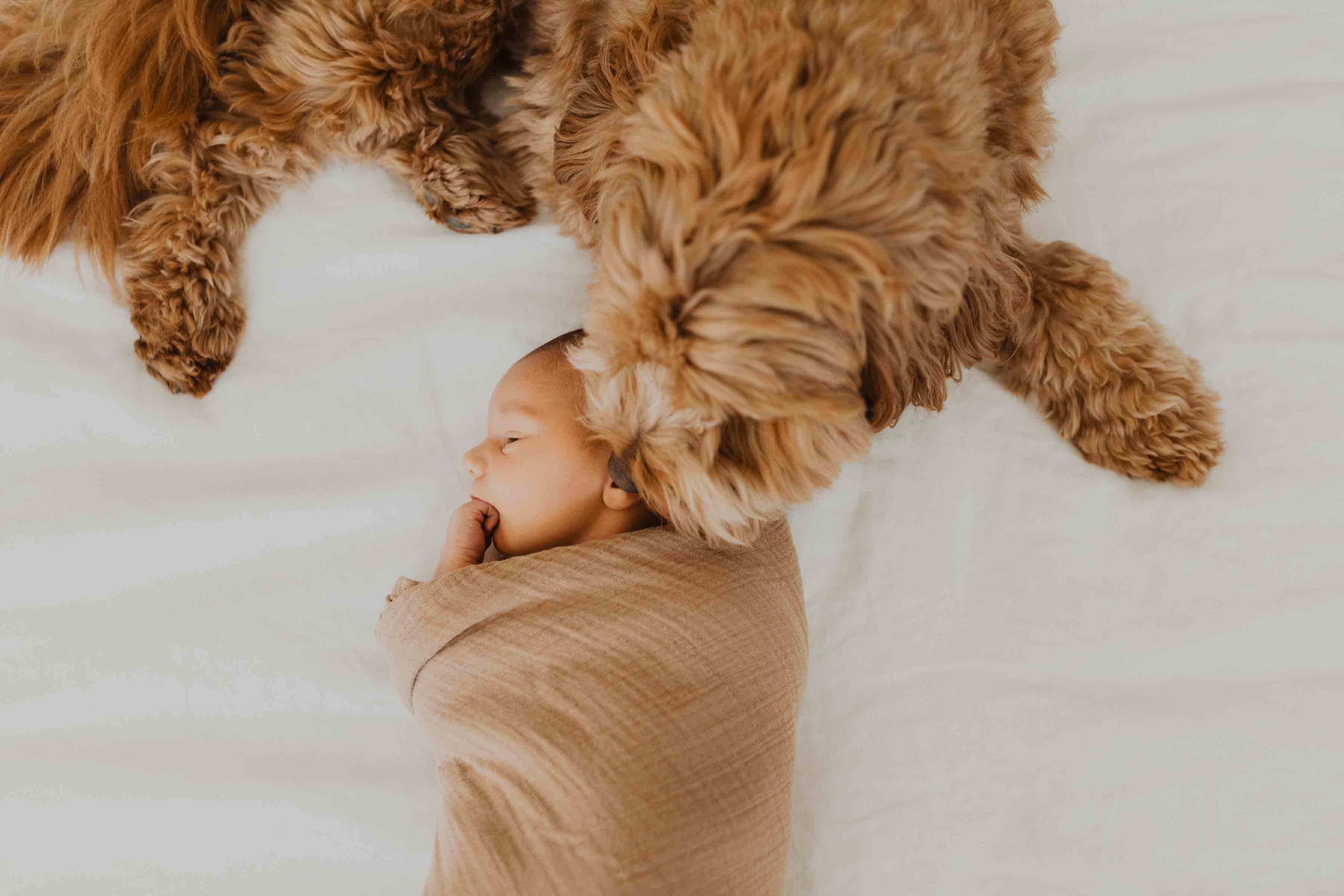 Alyssa Barletter Photography