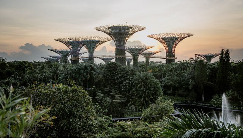 The Rohatyn Group - About