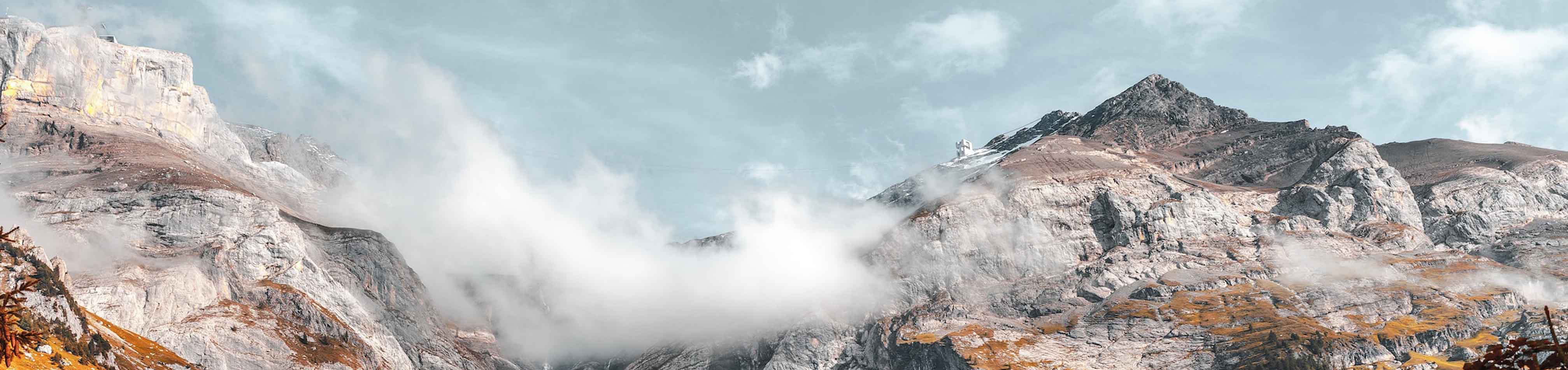 The Rohatyn Group - Strategies