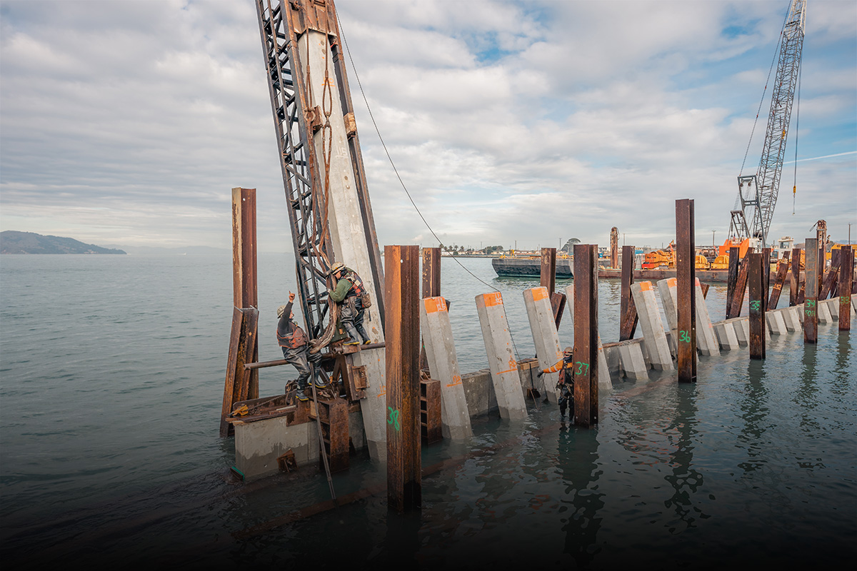 Custom hinge assembly in use for construction of the