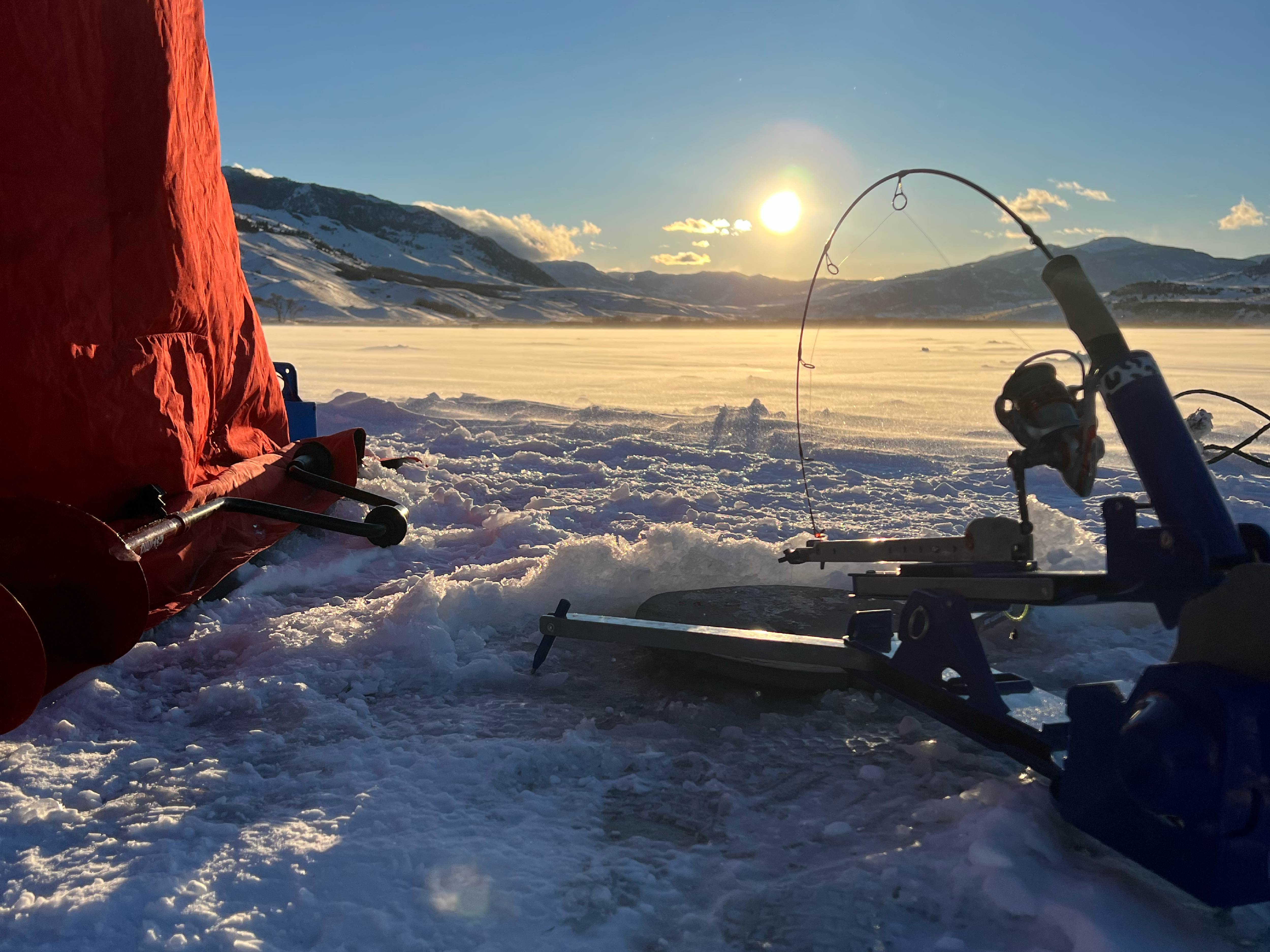 Trips - Livingston Trout Guides