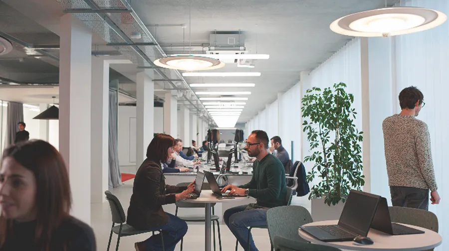 Home | DAB W Manifesto