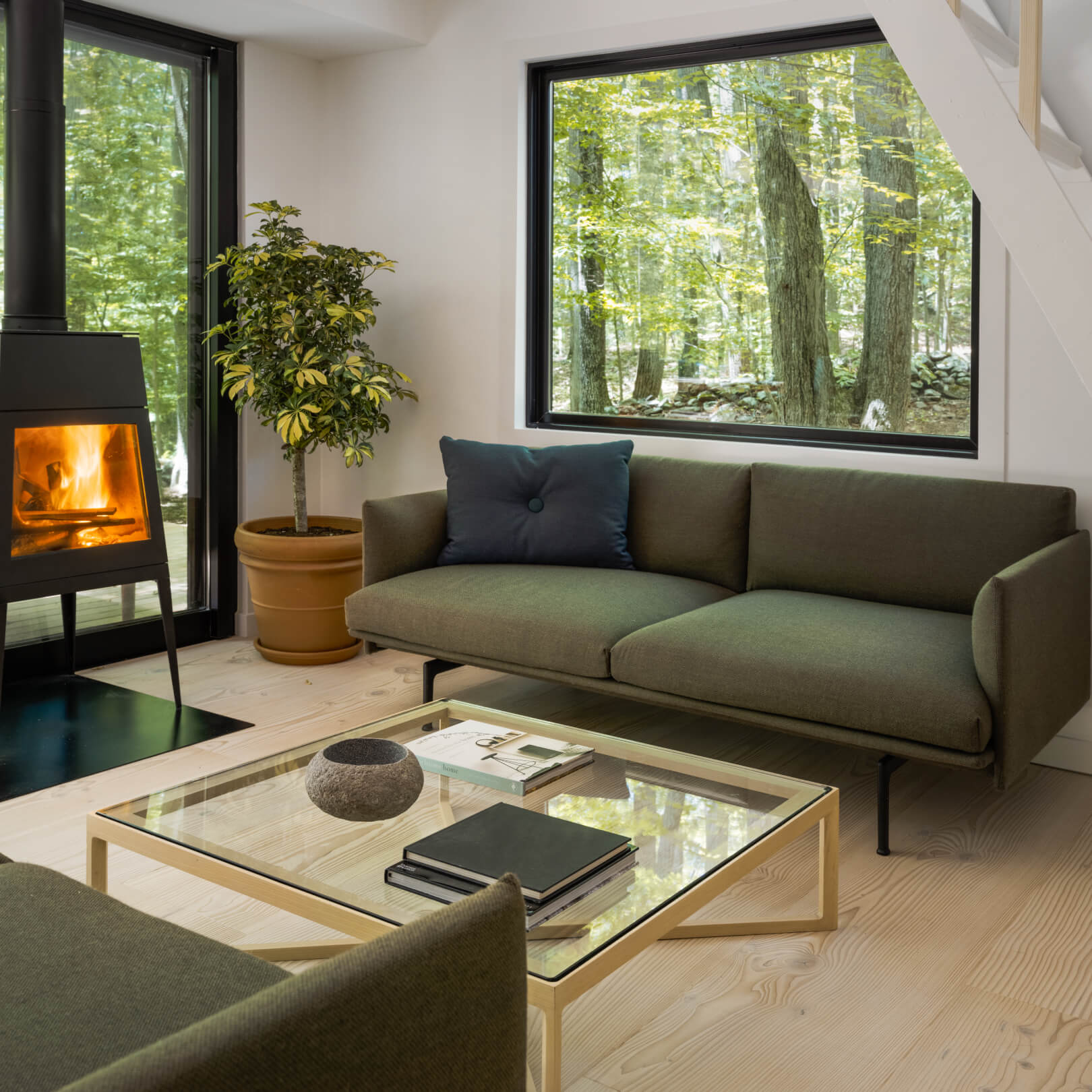 Rustic Revival: Transforming an Abandoned Shed into Contemporary ...