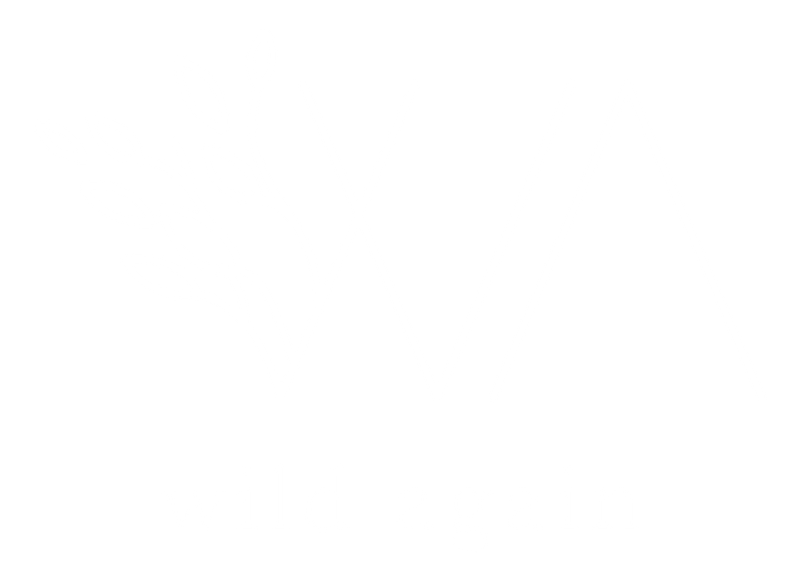 Wild Again | About