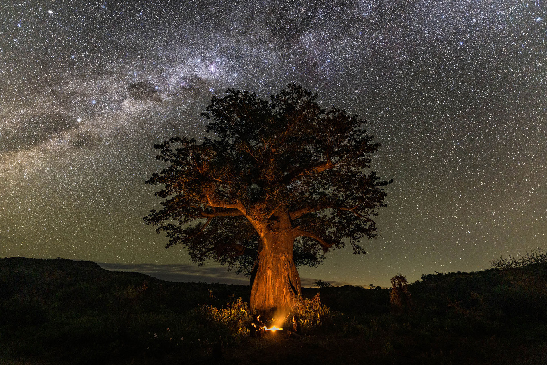 Retreats | Wild Again