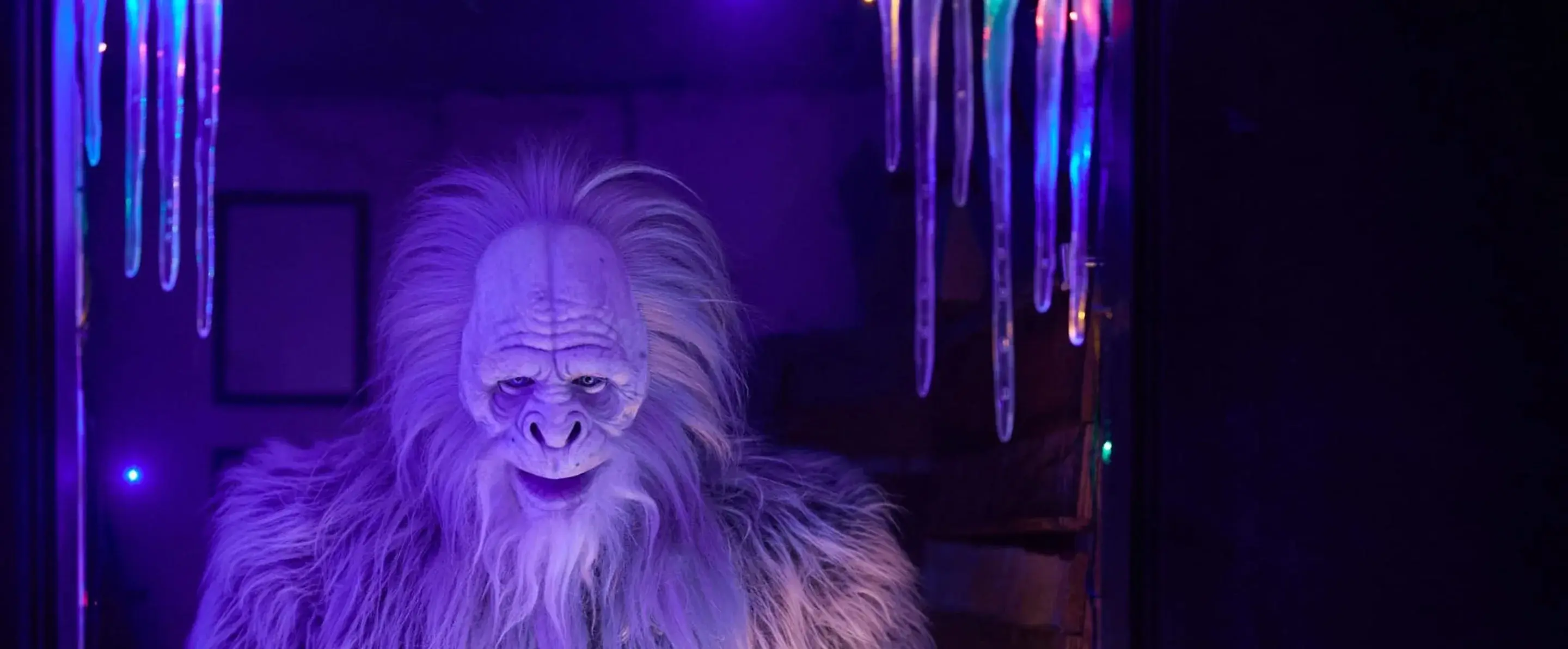 Swamp Originals | SWAMP