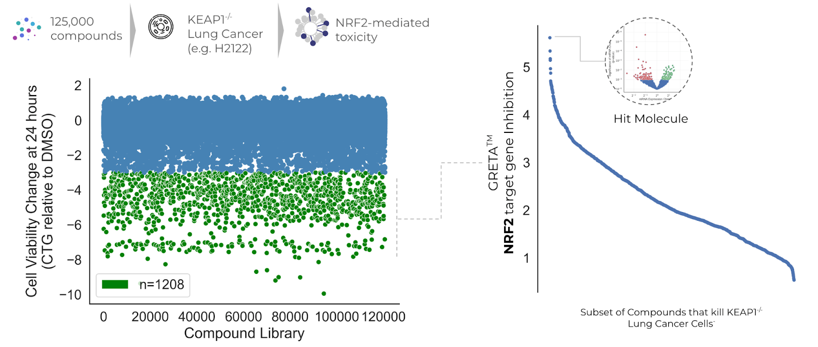 Arpeggio Pipeline: KEAP1-mutant Lung Cancer | Arpeggio Bio