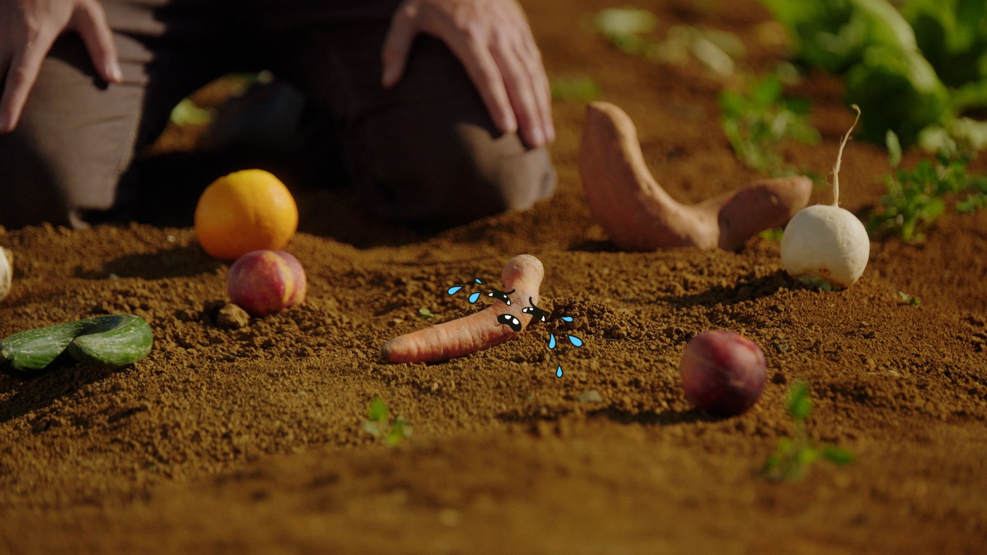 Wonky Box Case Study | ODV