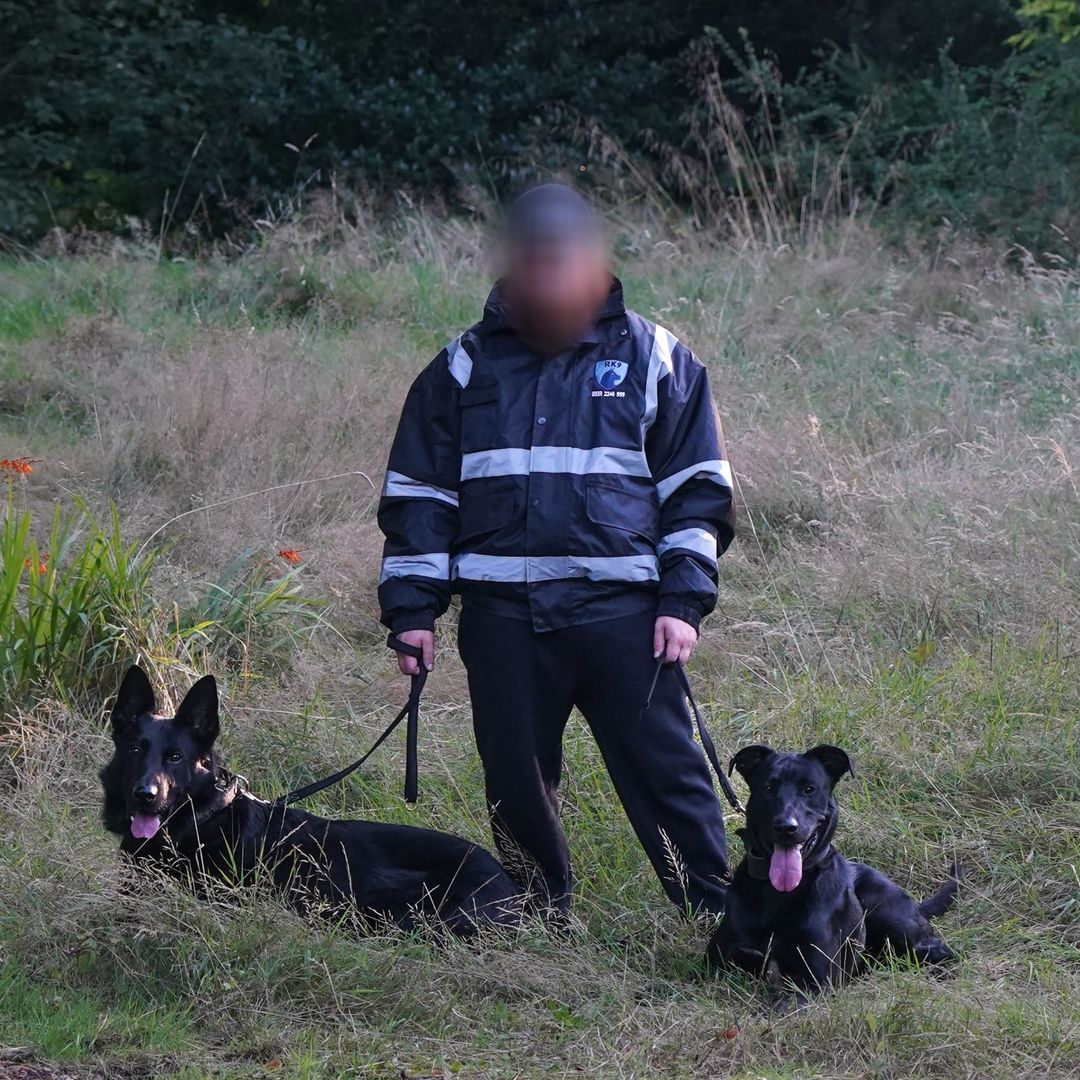Why Are Dog Units a Game-Changer for Property Security? | RK9 Security