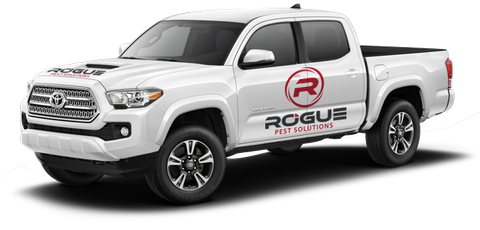 Rogue Pest Solutions | Expert Pest Control Services in AL