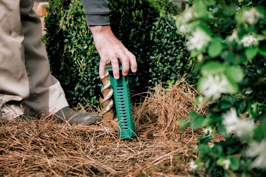 Top-Tier Termite Control Services - Rogue Pest Solutions