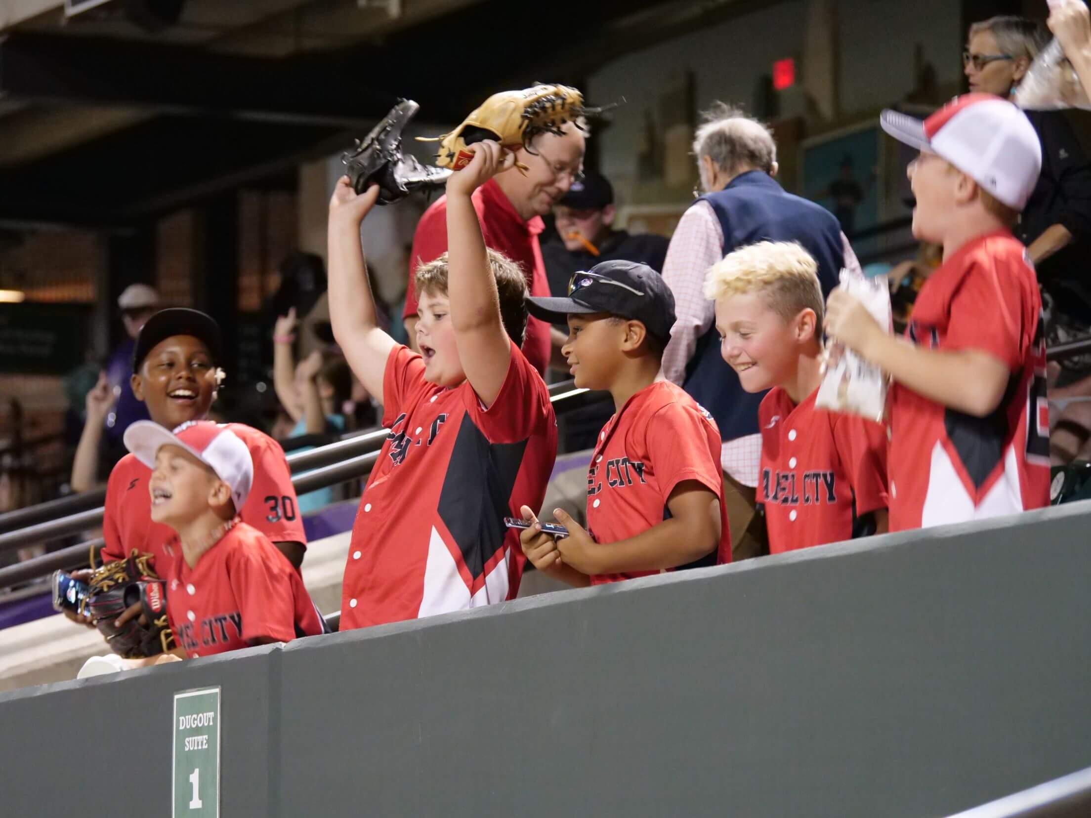 Winston-Salem Dash Baseball
