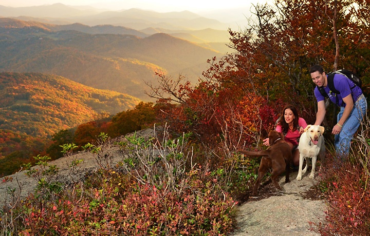 Beyond its recreational offerings, the Emerald Outback serves as a ...