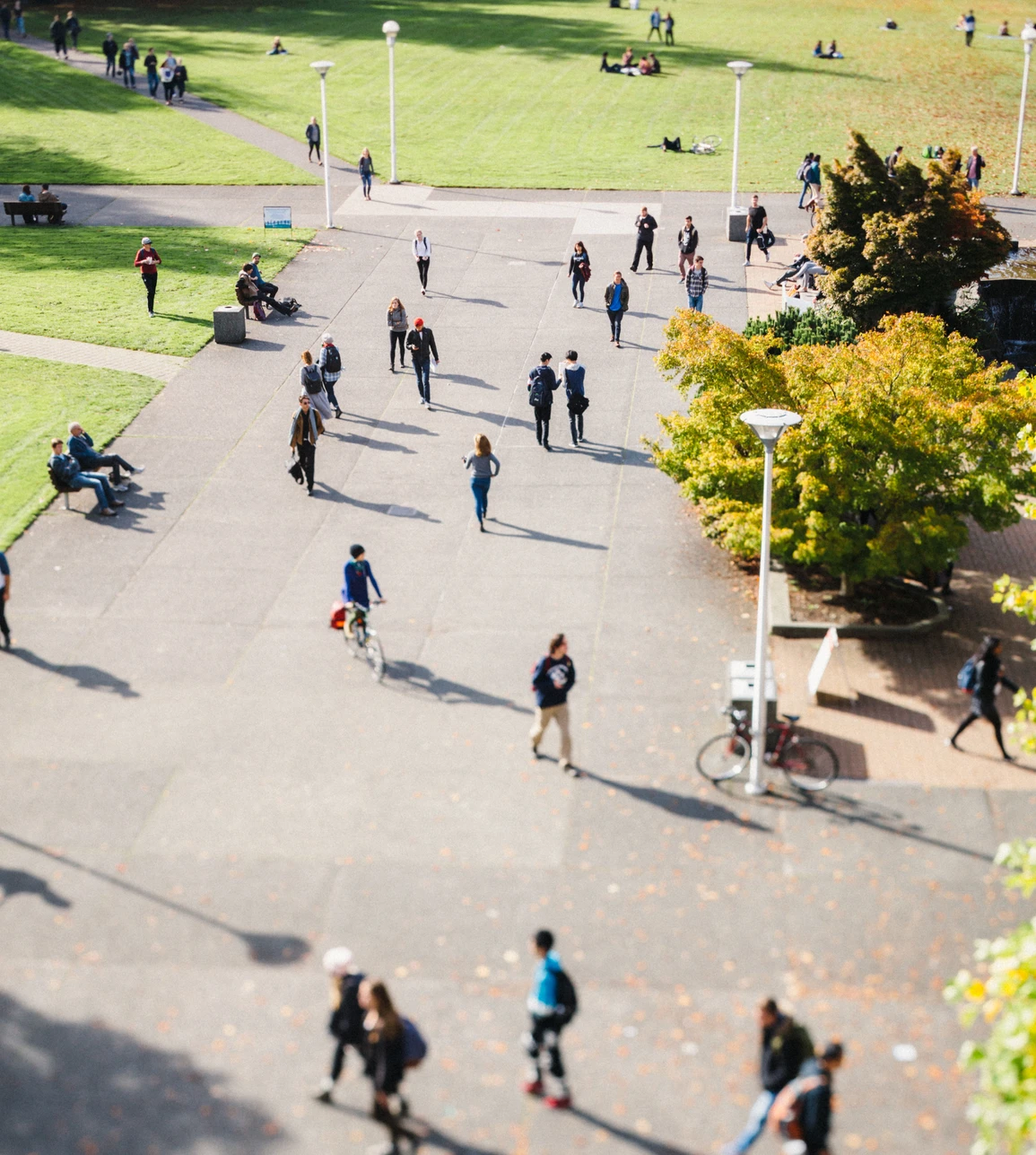 Het gebied — Het Slotervaart