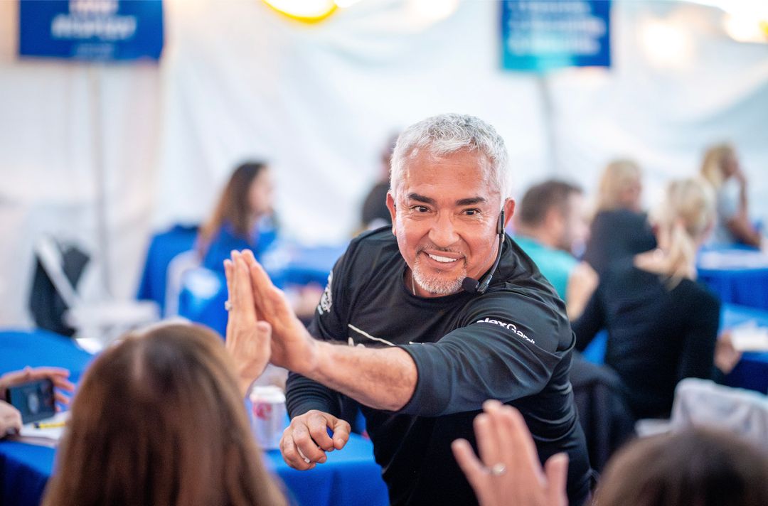 Training Cesar's Way - Cesar Millan