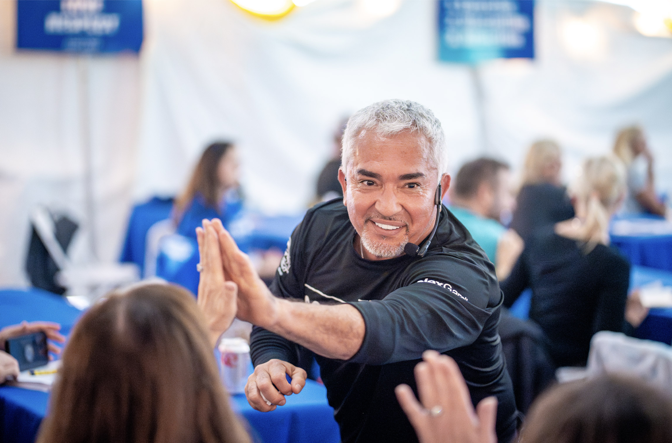 Training Cesar's Way - Cesar Millan