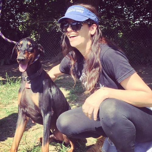 Training Cesar's Way - Cesar Millan