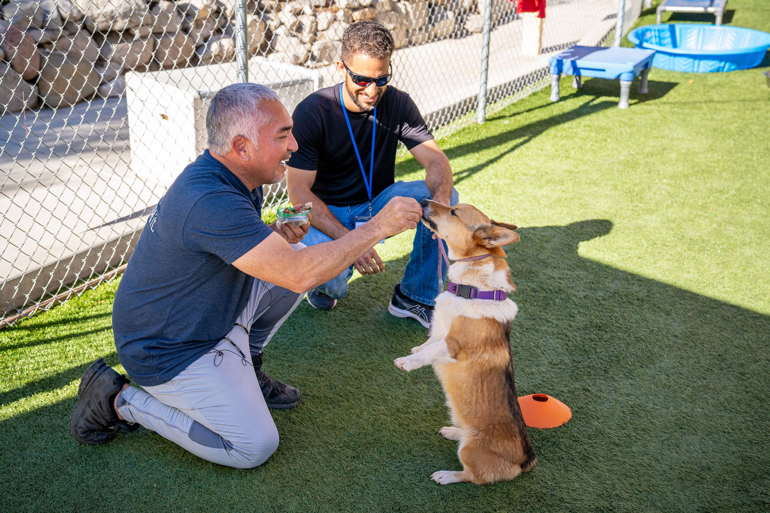 Training Cesar's Way - Cesar Millan
