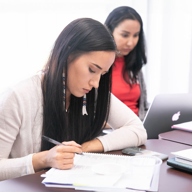 Native Artist Professional Development - First Peoples Fund