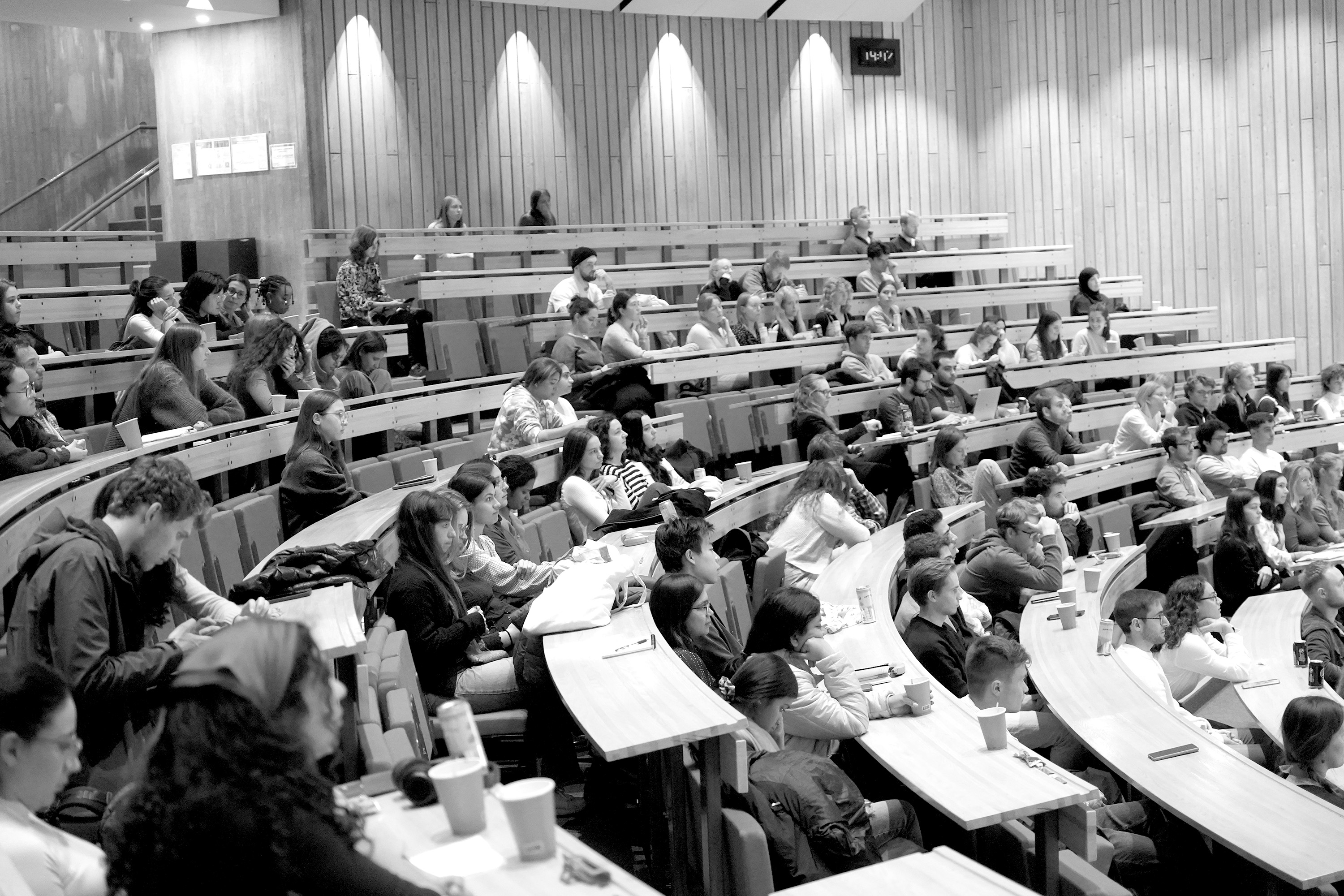 To PhD or not to PhD? | Synapse