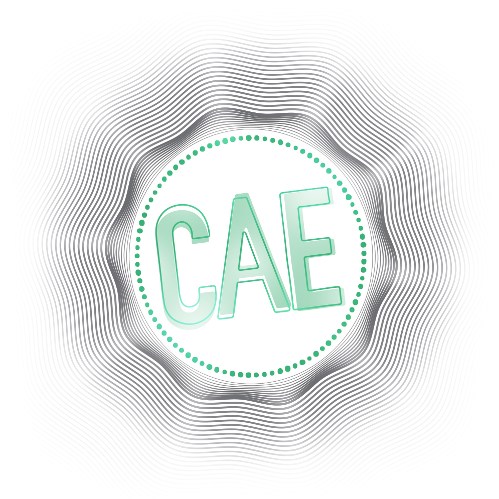 Guía Completa del Sistema CAE en España | AlfaCAE