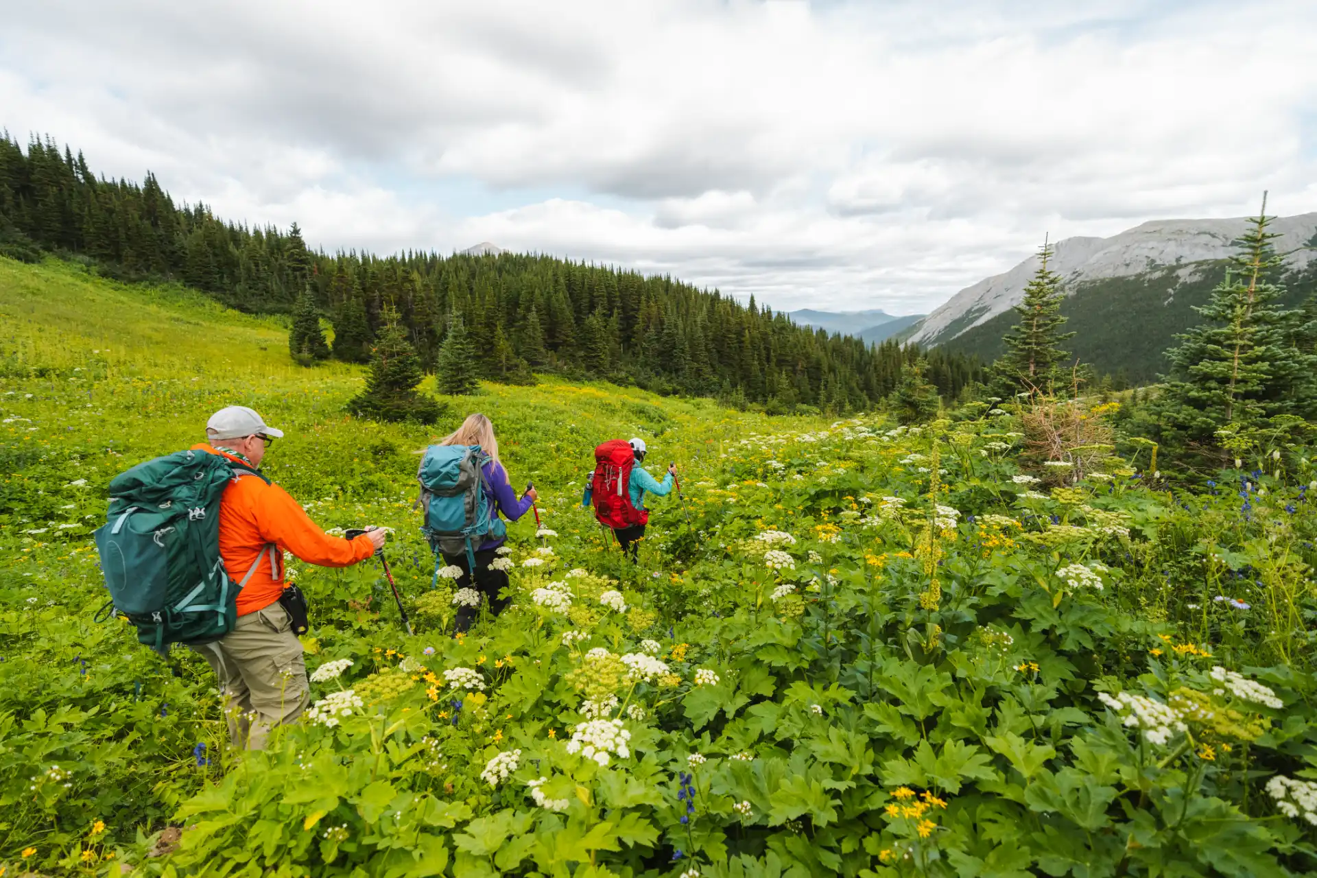 Windfall Lake Hiking Route - Wolverine Nordic & Mountain Society