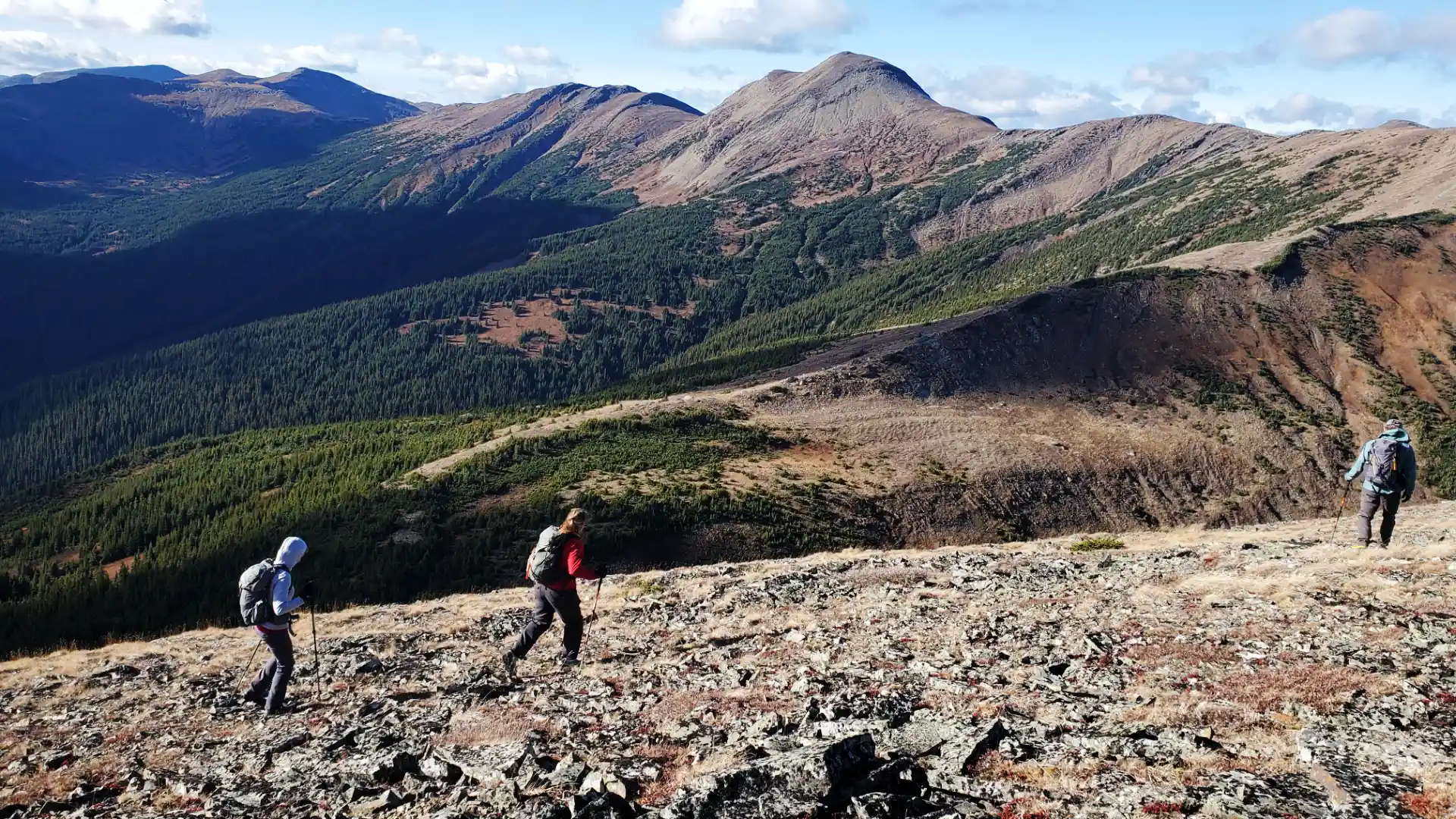 Mount Reesor Hiking Route - Wolverine Nordic & Mountain Society