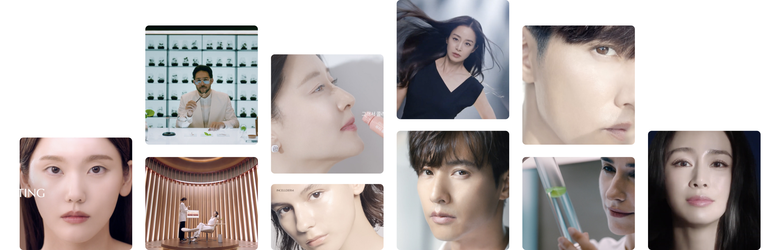 Incellderm Official Store - No.1 Korean Skincare Beauty Brand