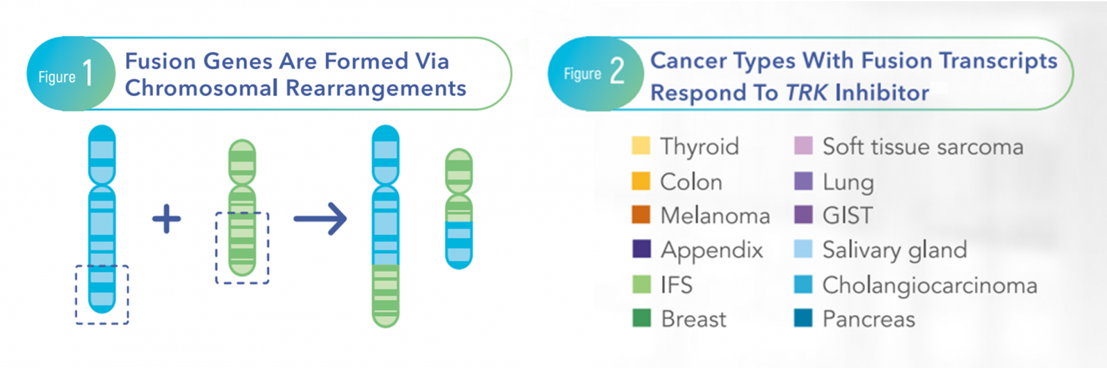 ACTFusion™ | ACT Genomics