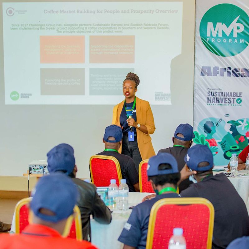 Challenges Group | Enterprising solutions to global challenges