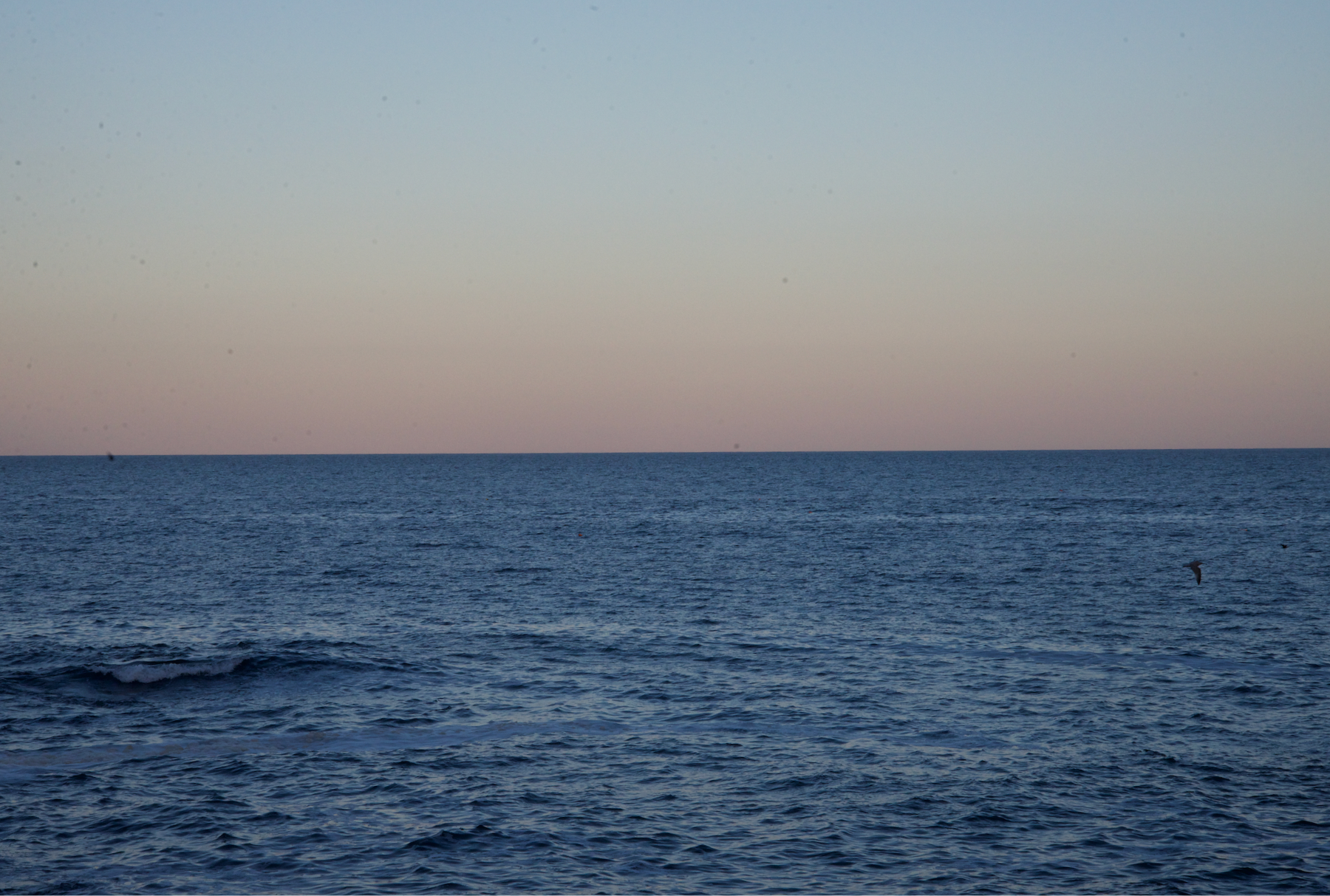 Maine's premier oceanfront hotel | The Viewpoint