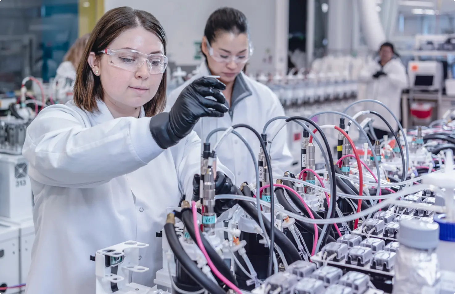 Process development | Culture Bio