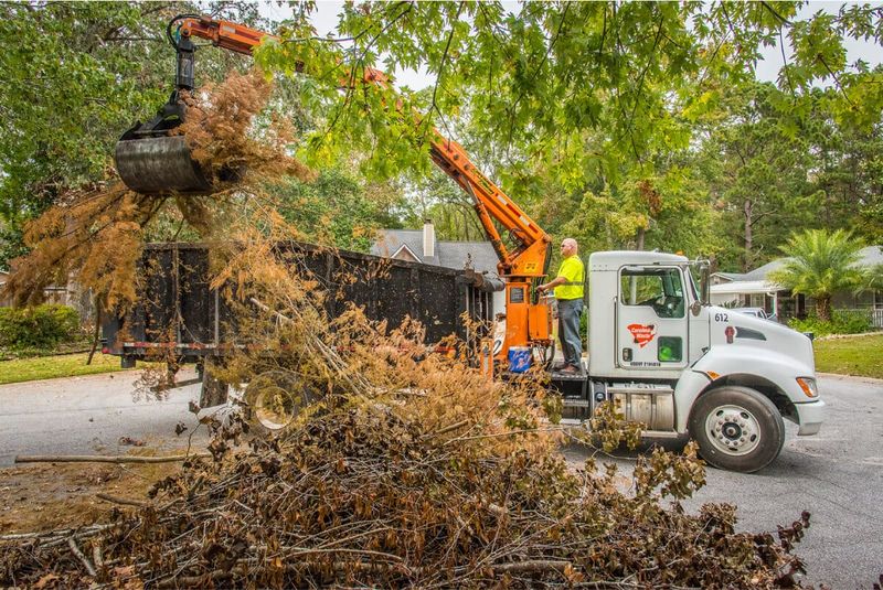 Carolina Waste | Trash Service & Dumpster Rental in South Carolina