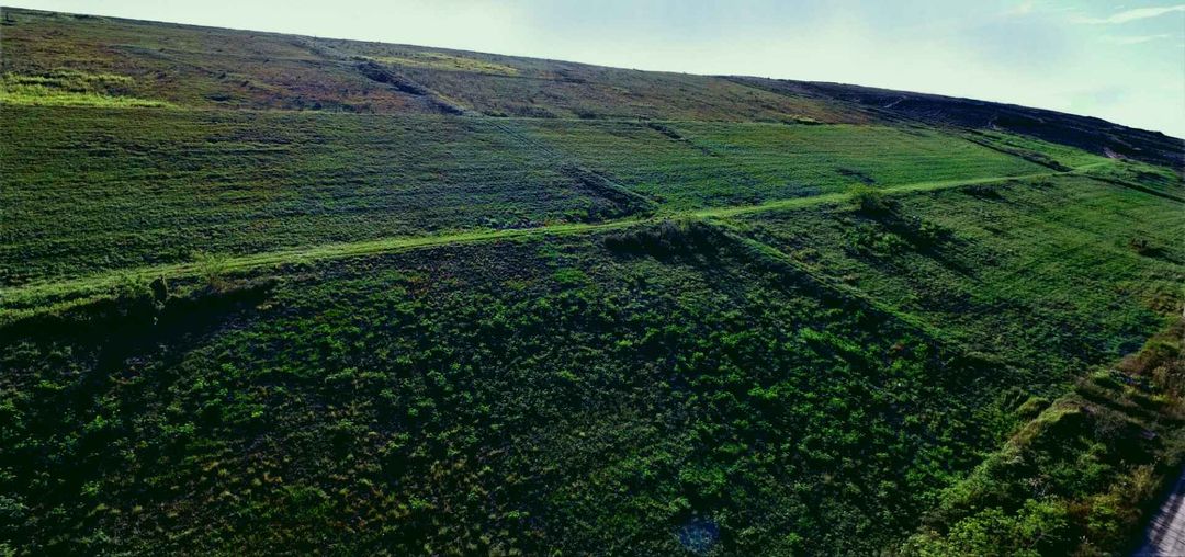Carolina Landfill