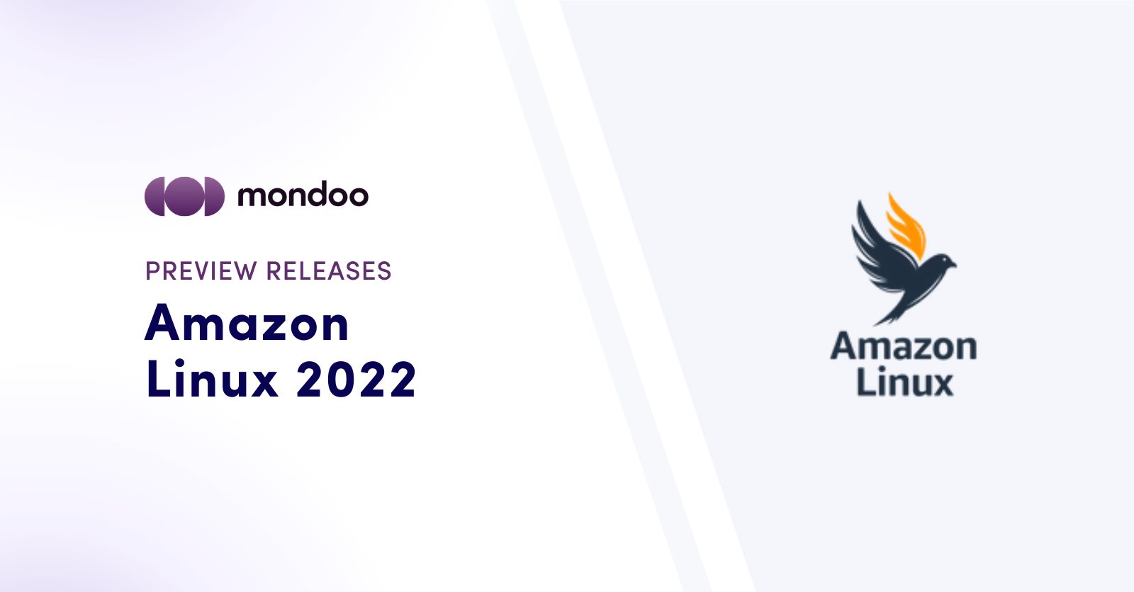 Amazon Linux 2022 features and how to check for vulnerabilities | Mondoo