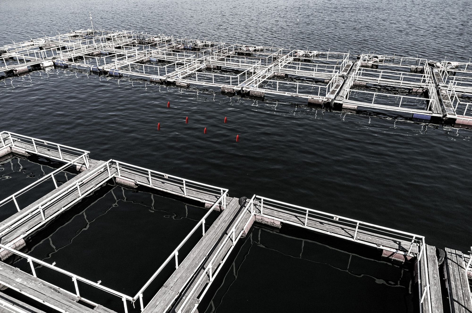 Ocean Tech Hub | Driving the Blue Economy & Ocean Technology Innovations