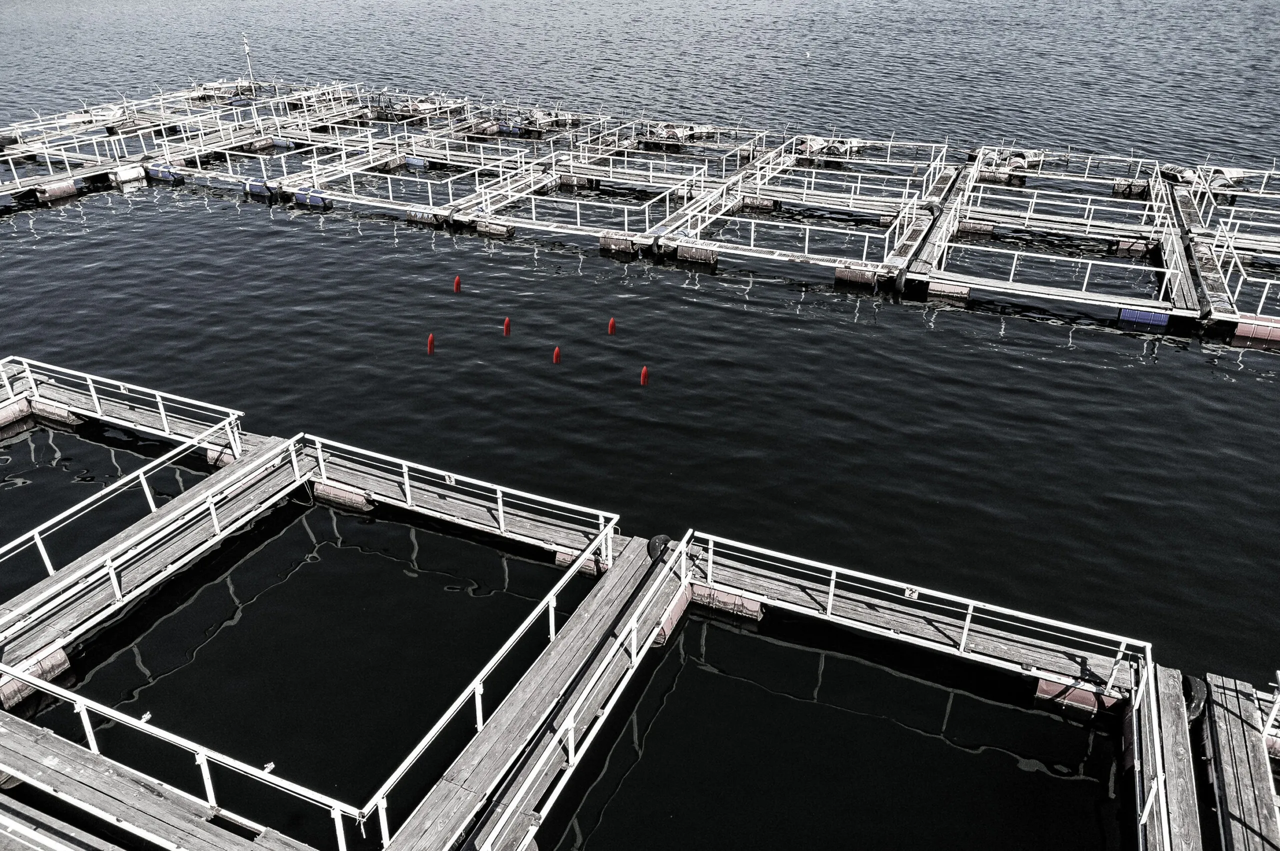 Ocean Tech Hub | Driving the Blue Economy & Ocean Technology Innovations