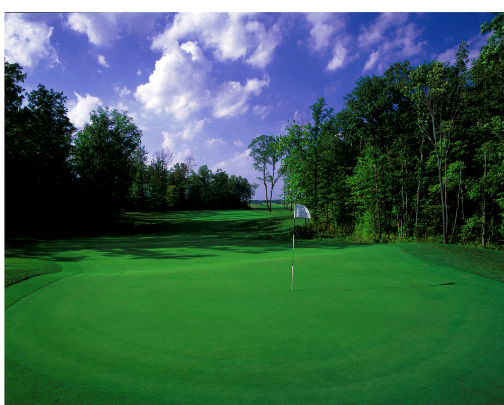 Noble Hawk Golf Links | Great Indiana Golf